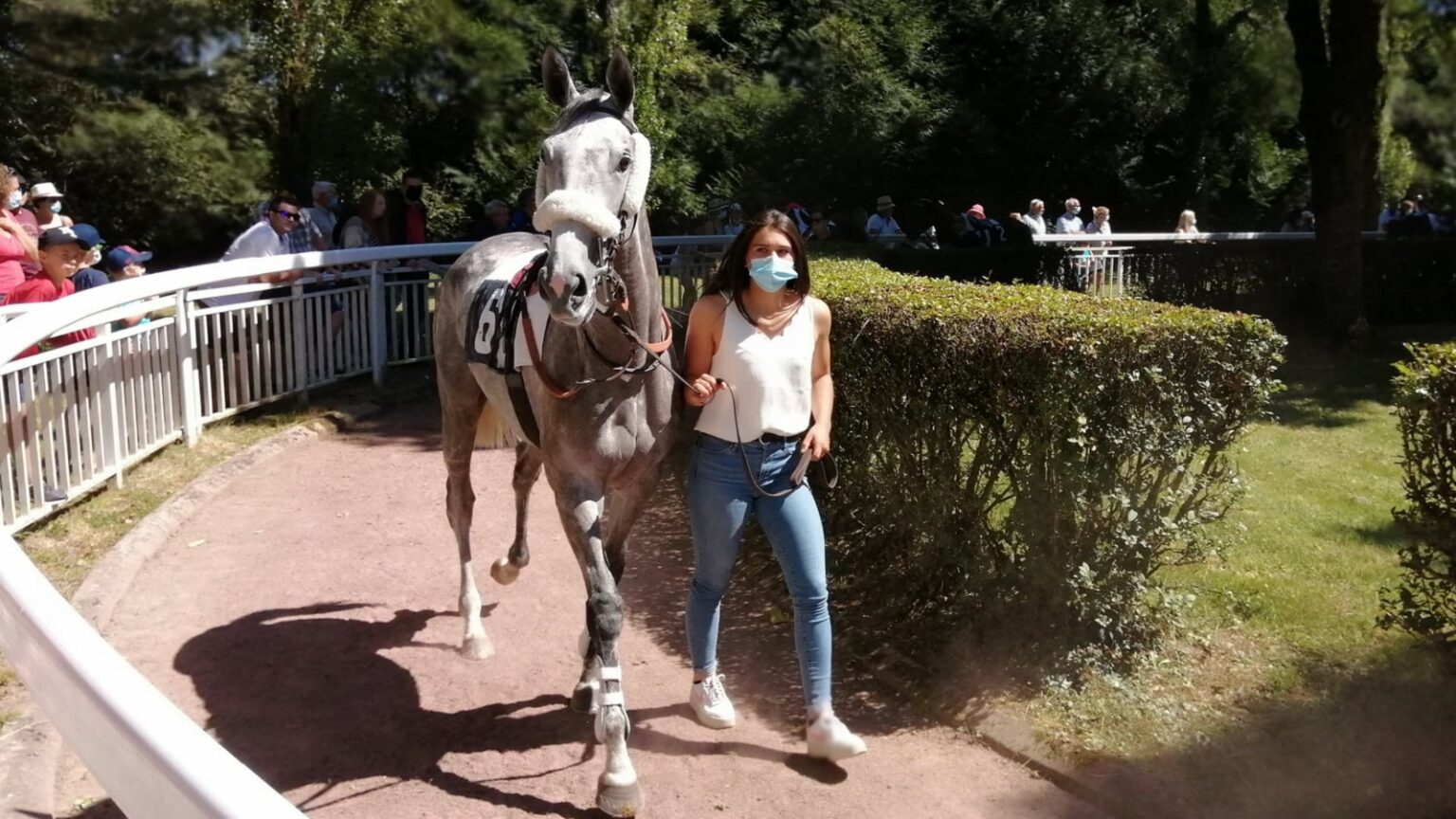 Quinté PMU du dimanche 13 novembre 2022