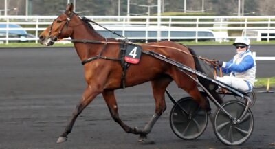 Pronostic Quinté Pmu Du Dimanche 26 02 2023