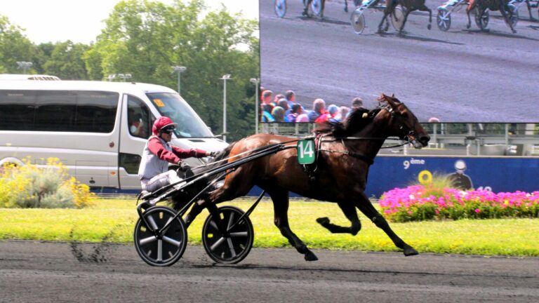 Pronostic PMU dimanche 17/09/2023 - 4 bases pour votre Quinté