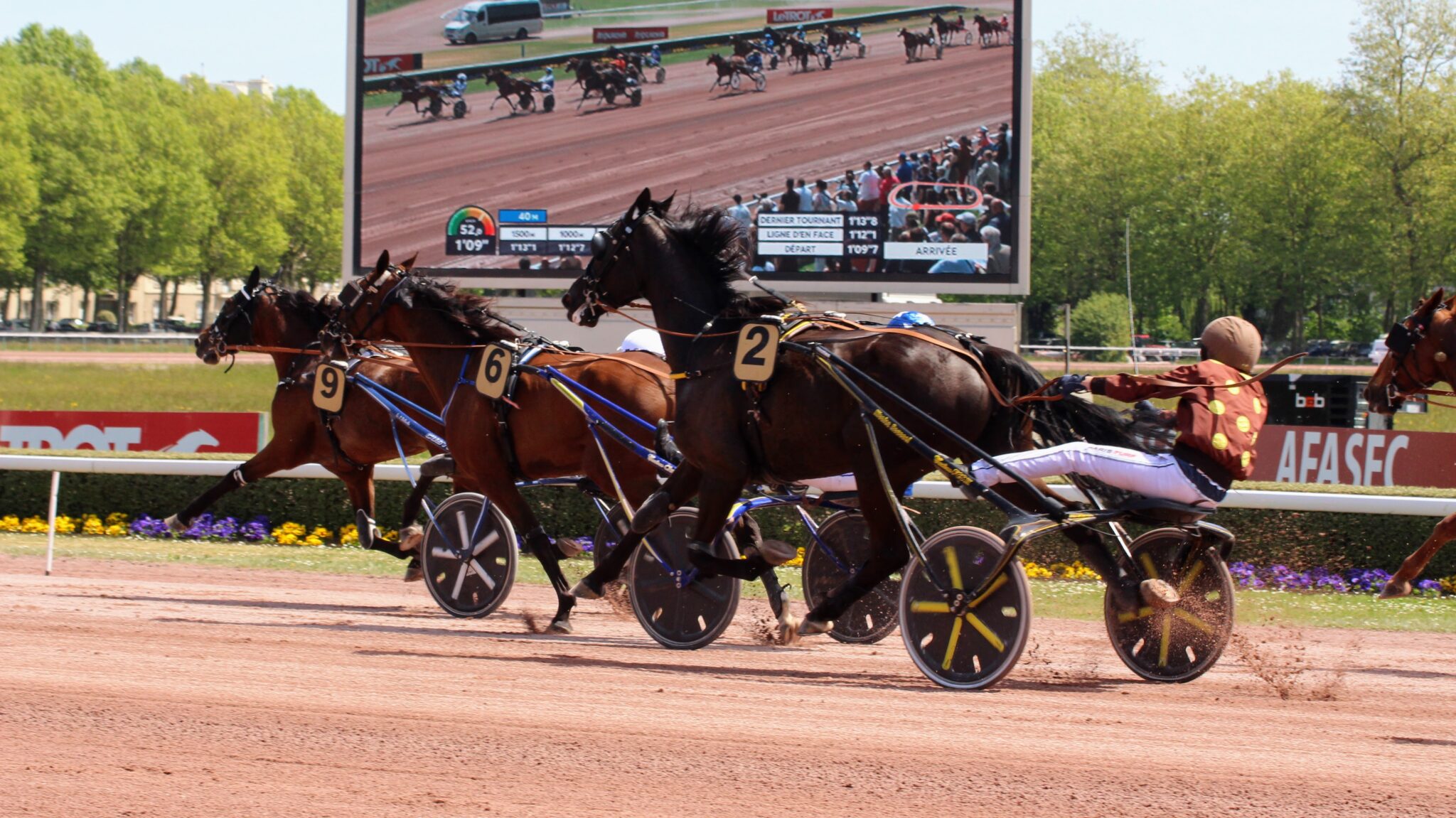 Pronostic Quinté Pmu Du Vendredi 07 04 2023