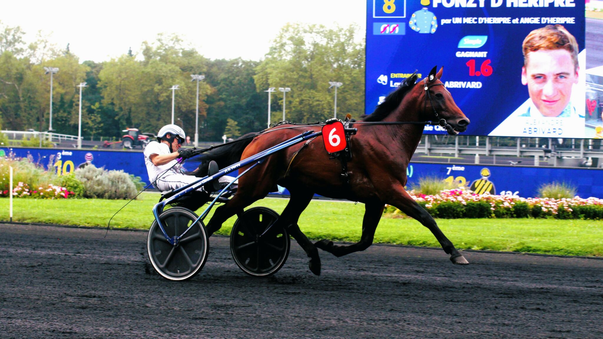 Tiercé Quarté Quinté Pmu Du Jeudi 25 Mars 2021