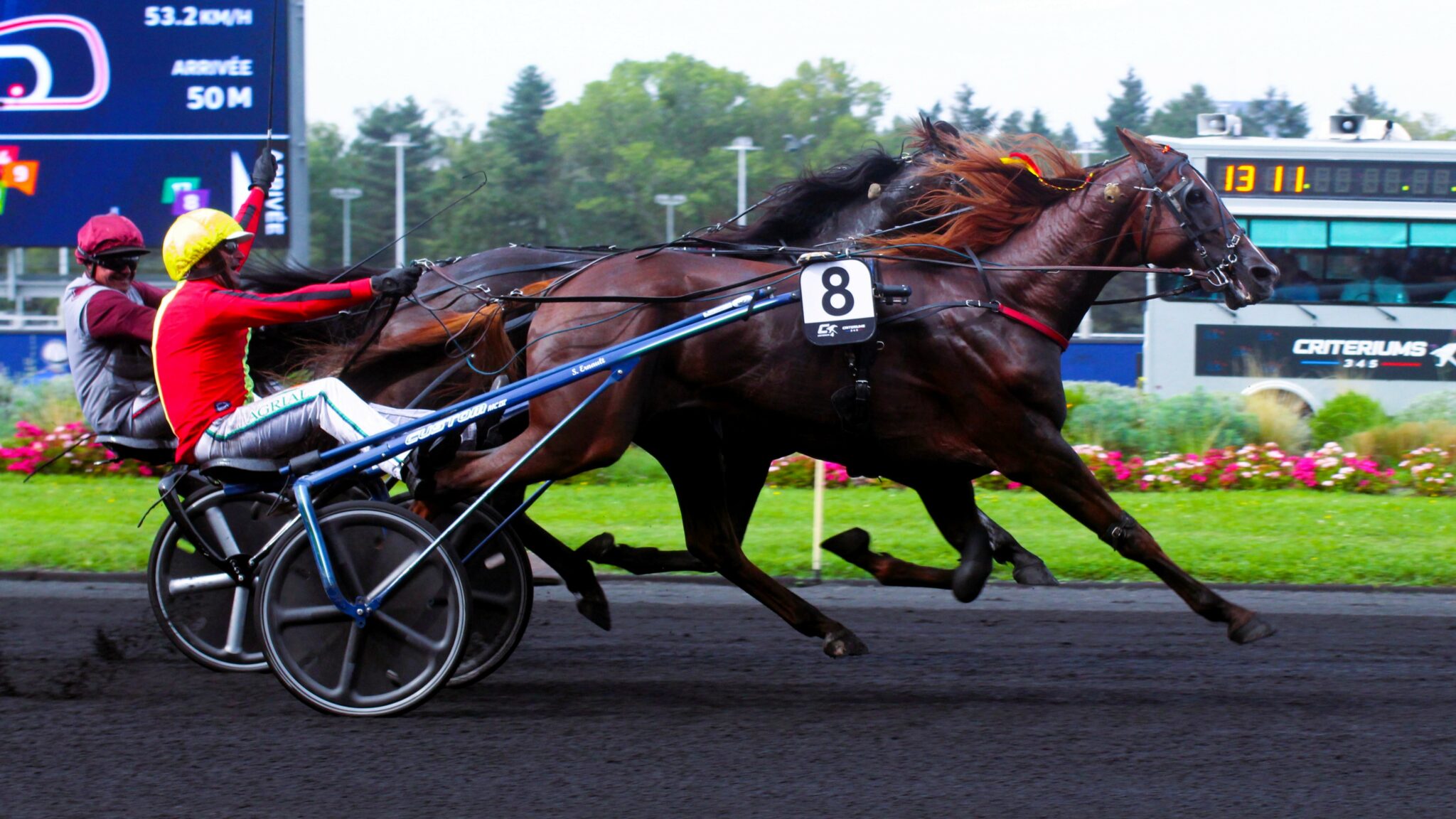 Pronostic Pmu Dimanche 25 02 2024 4 Bases Pour Votre Quinté