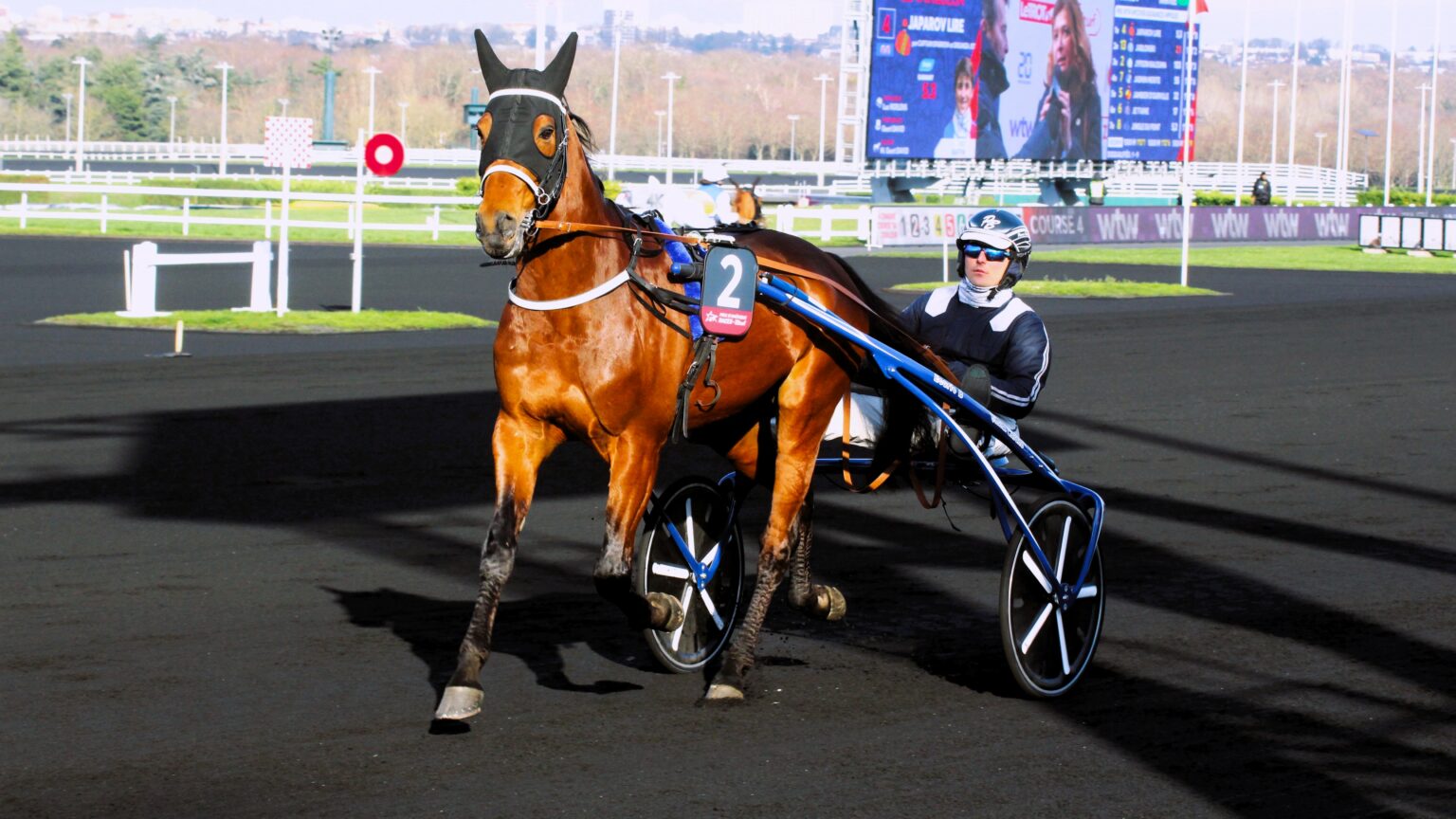 Pronostic Pmu Samedi 23 03 2024 4 Bases Pour Votre Quinté