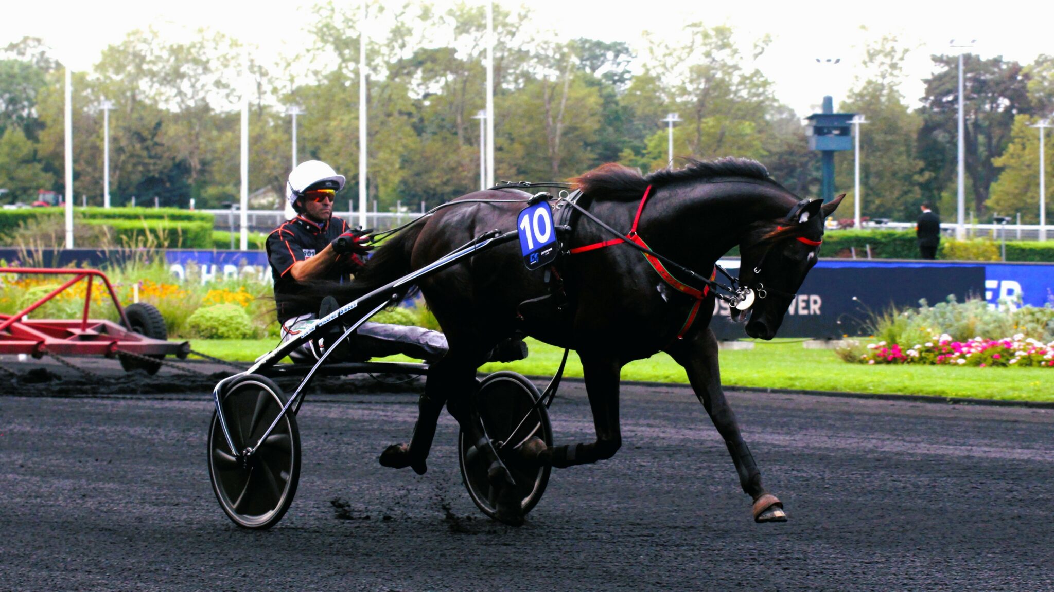 Pronostic PMU dimanche 07/01/2024 - 4 bases pour votre Quinté