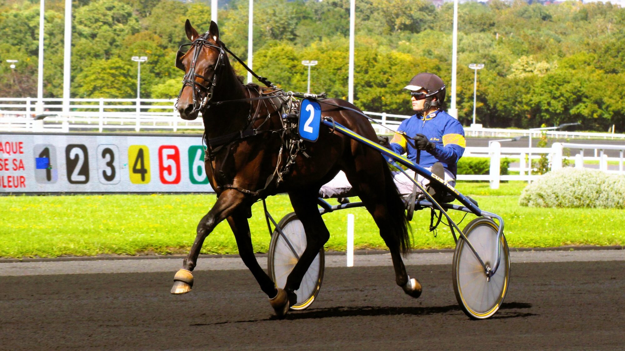 Pronostic Pmu Du Jour 4 Bases Pour Le Quinté Du 29 Juin 2024