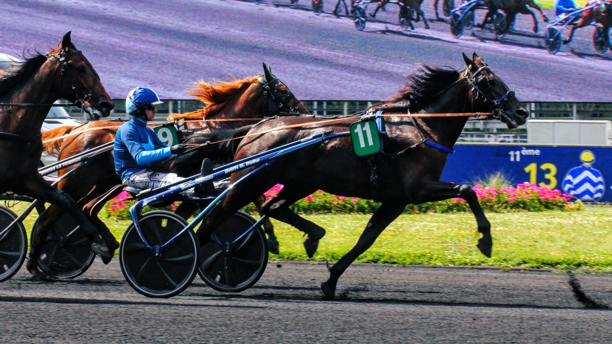 Pronostic Pmu Du Jour 4 Bases Pour Le Quinté Du 6 Juillet 2024