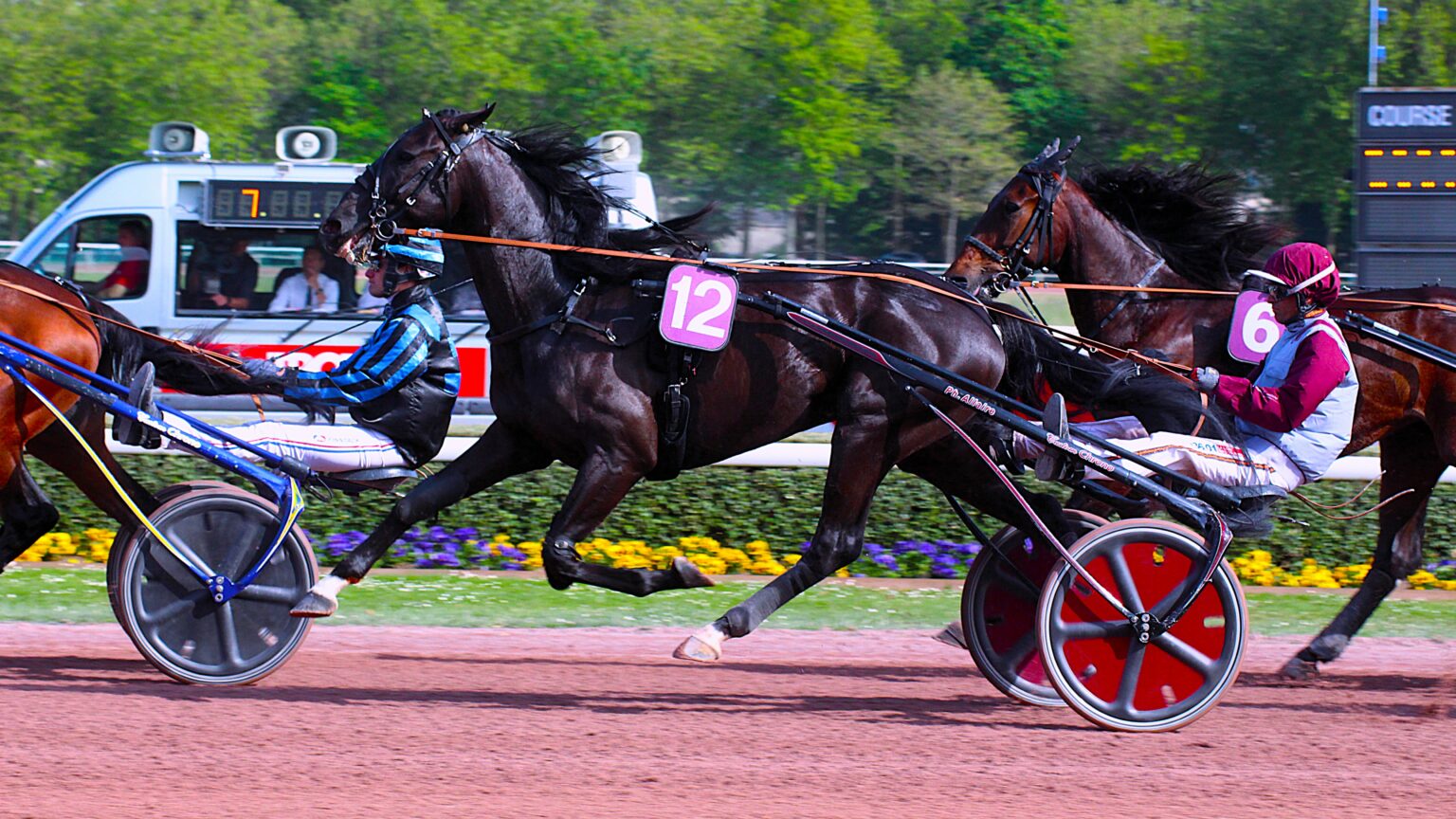 Pronostic Pmu Du Jour 4 Bases Pour Le Quinté Du 13 Juillet 2024