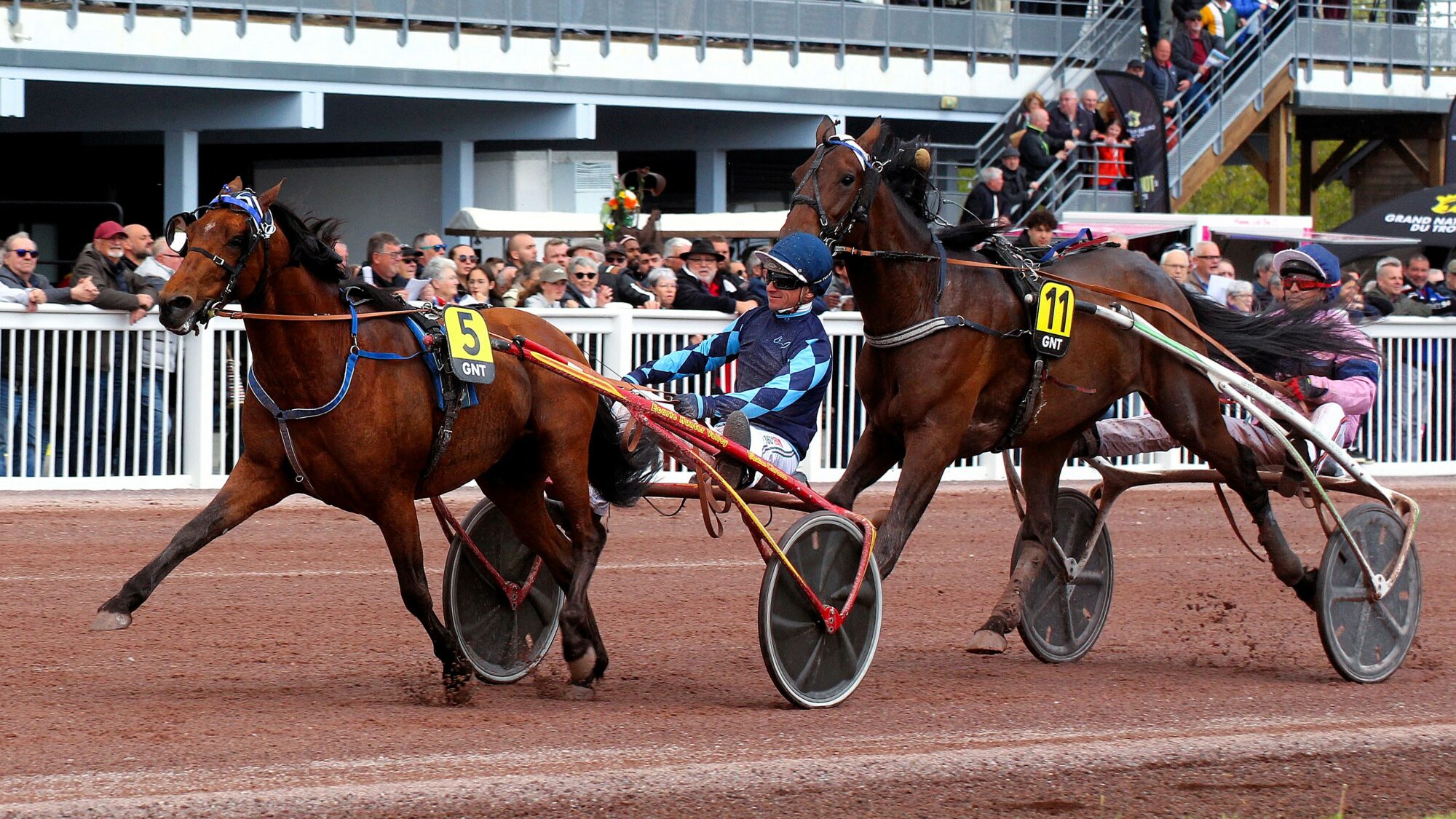 Quinté Du Mercredi 11 Septembre 2024 Pronostic Base Tocard