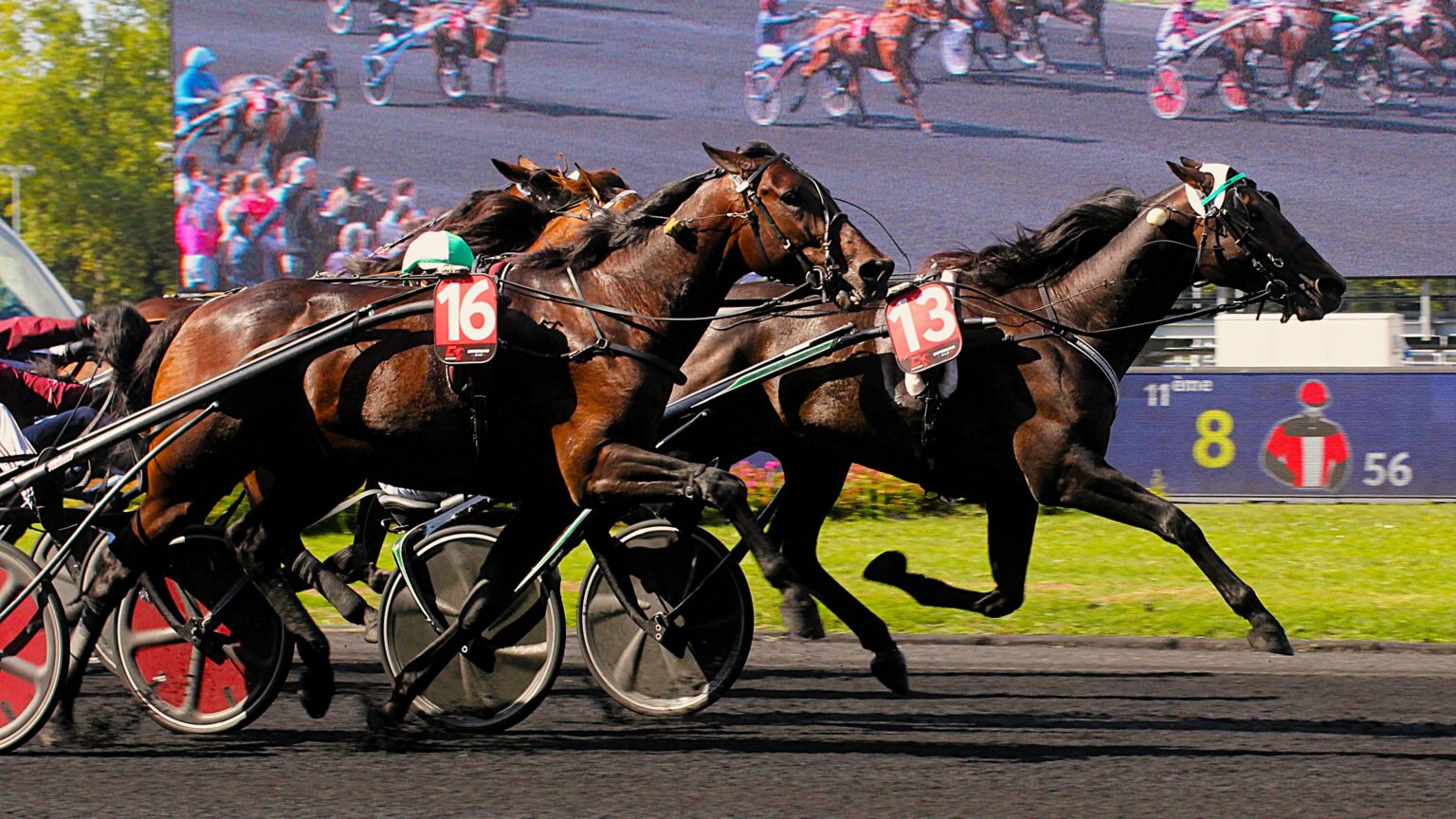 Quinté du samedi 14 septembre 2024 - Pronostic - Base - Tocard