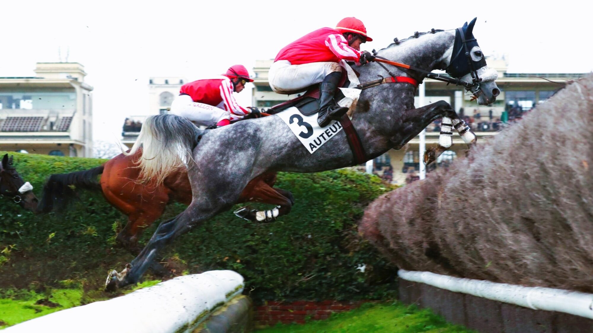 Quinté du mardi 24 septembre 2024 - Pronostic - Base - Tocard