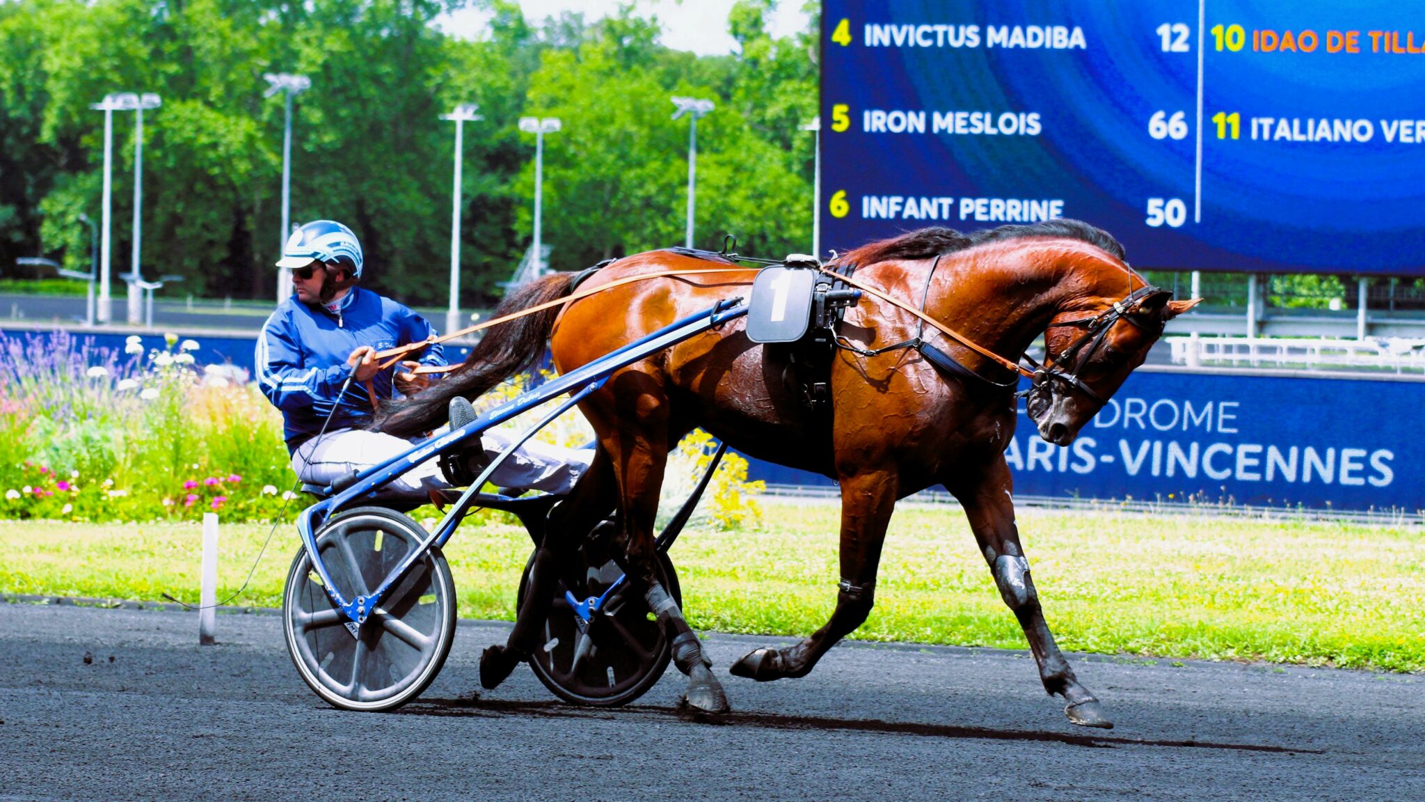 Pronostic Quinté Du Jeudi 21 11 2024 Au Pmu Base Tocard