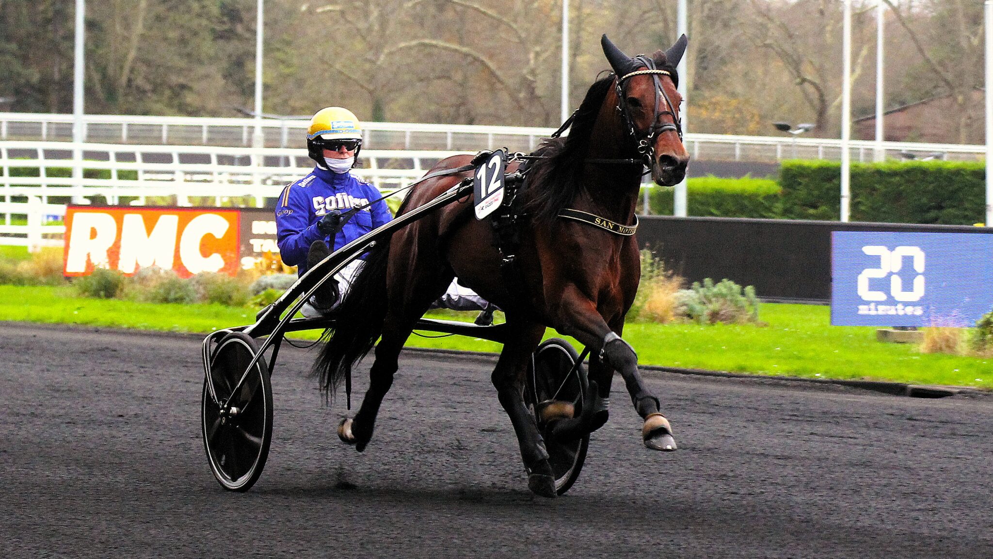 Pronostic PMU • Tiercé Quarté Quinté du mercredi 1er janvier 2025