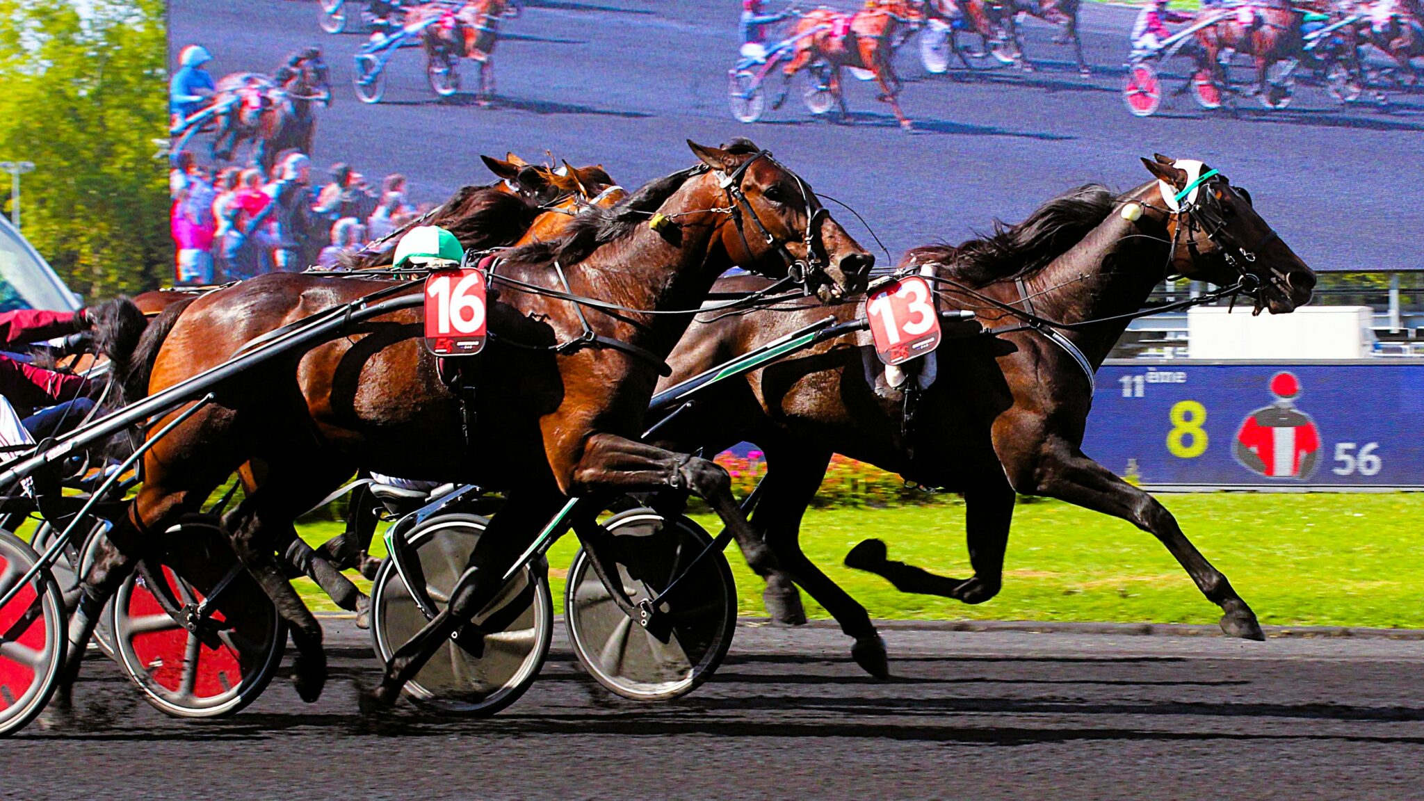 Résultat Quinté du jour au PMU • Arrivée du dimanche 22/12/2024