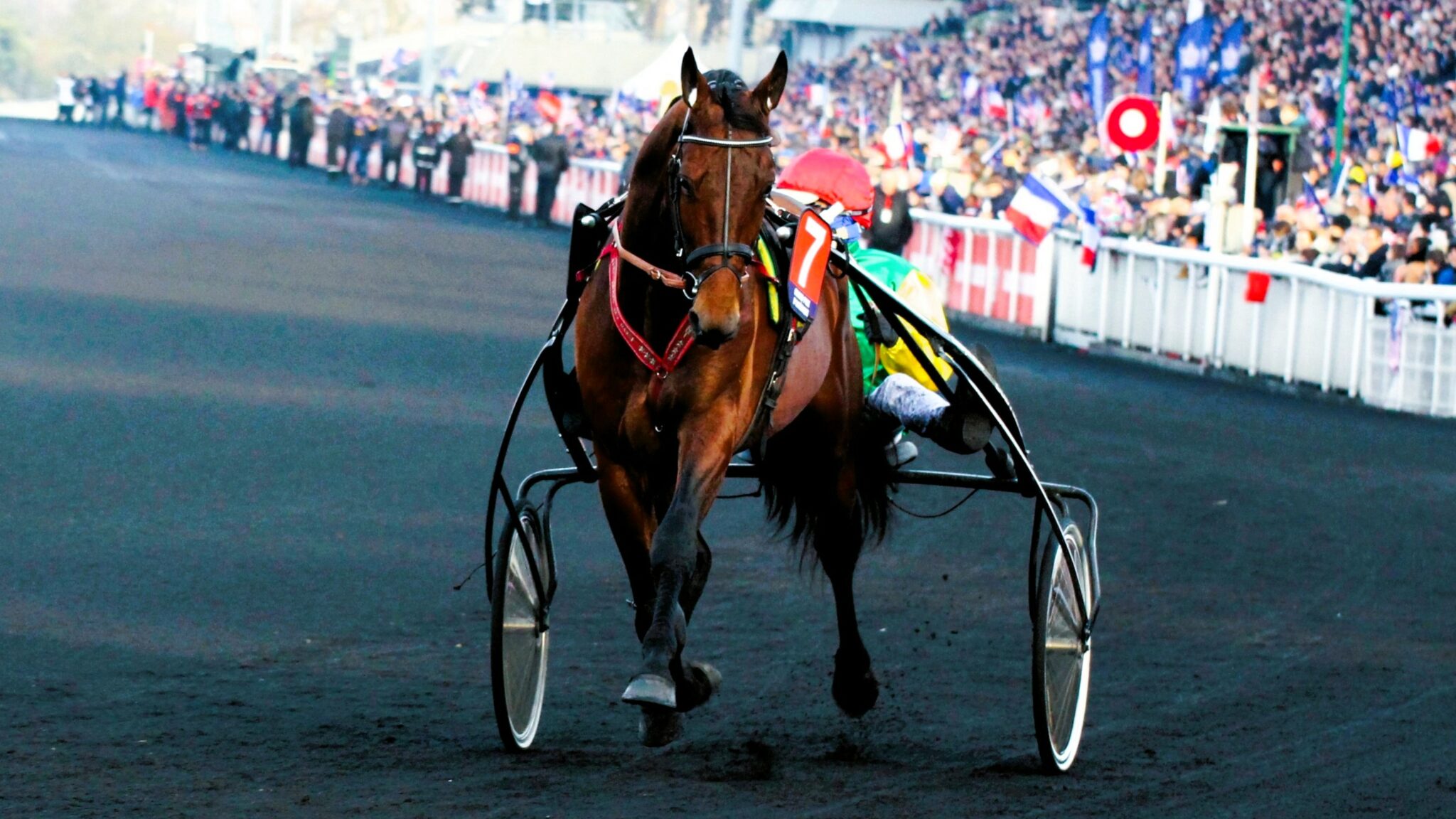 Résultat Pmu Du Dimanche 29 Décembre 2024 Arrivée Du Quinté