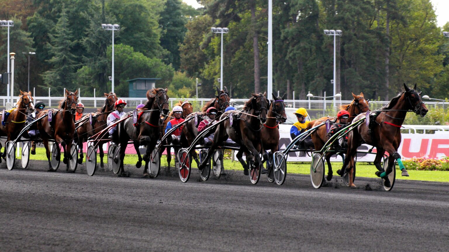 Pronostic Pmu Du Jour Quinté Du Dimanche 16 Février 2025