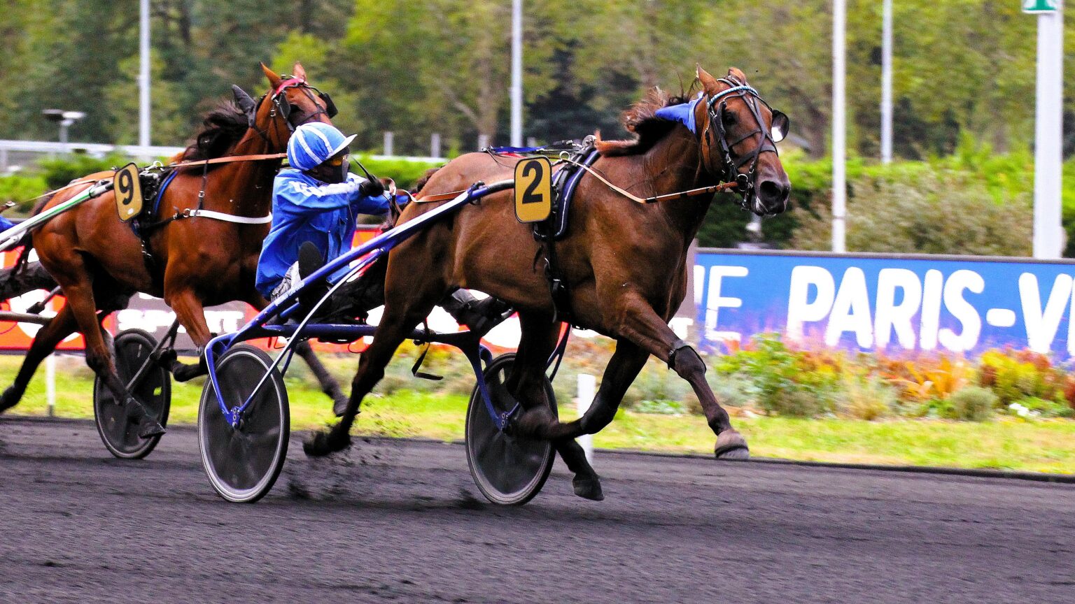 Pronostics De La Presse Pmu Quinté Du Samedi 25 Janvier 2025