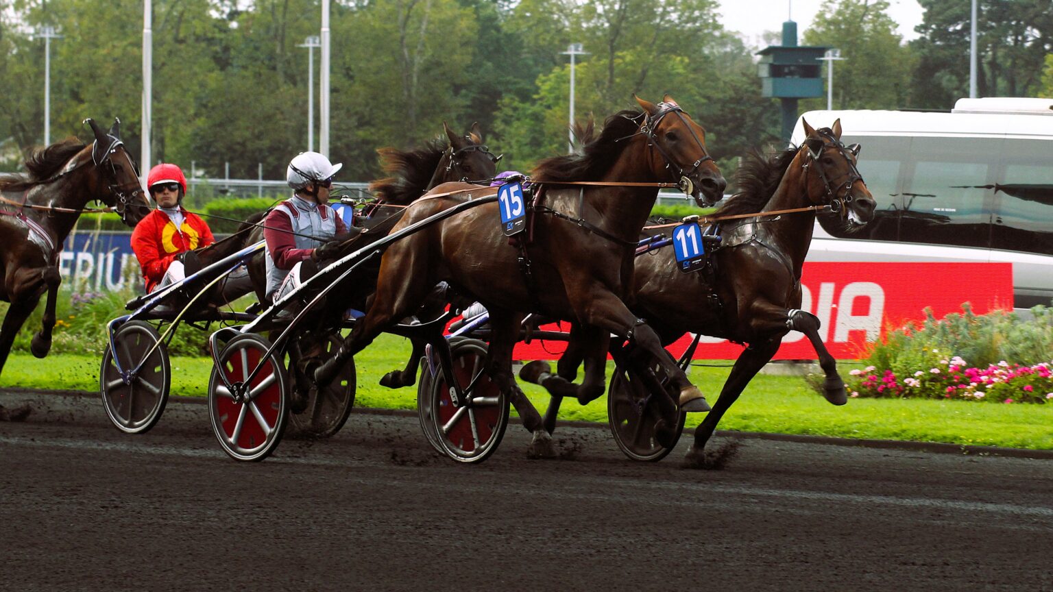 Resultat Pmu Arrivée Du Quinte Du Dimanche 12 Janvier 2025