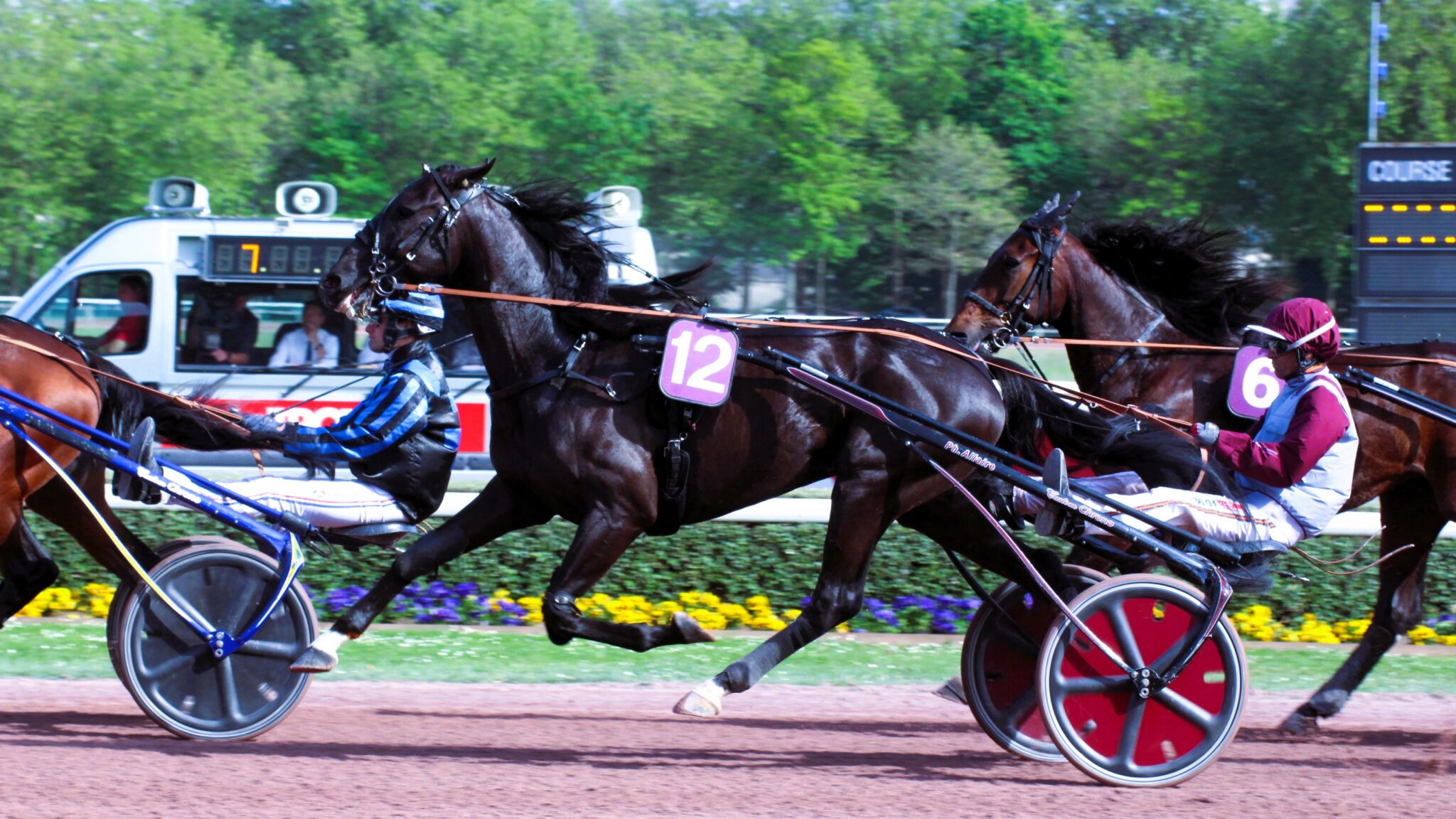 Pronostic Pmu Du Jour Quinté Du Mercredi 19 Mars 2025