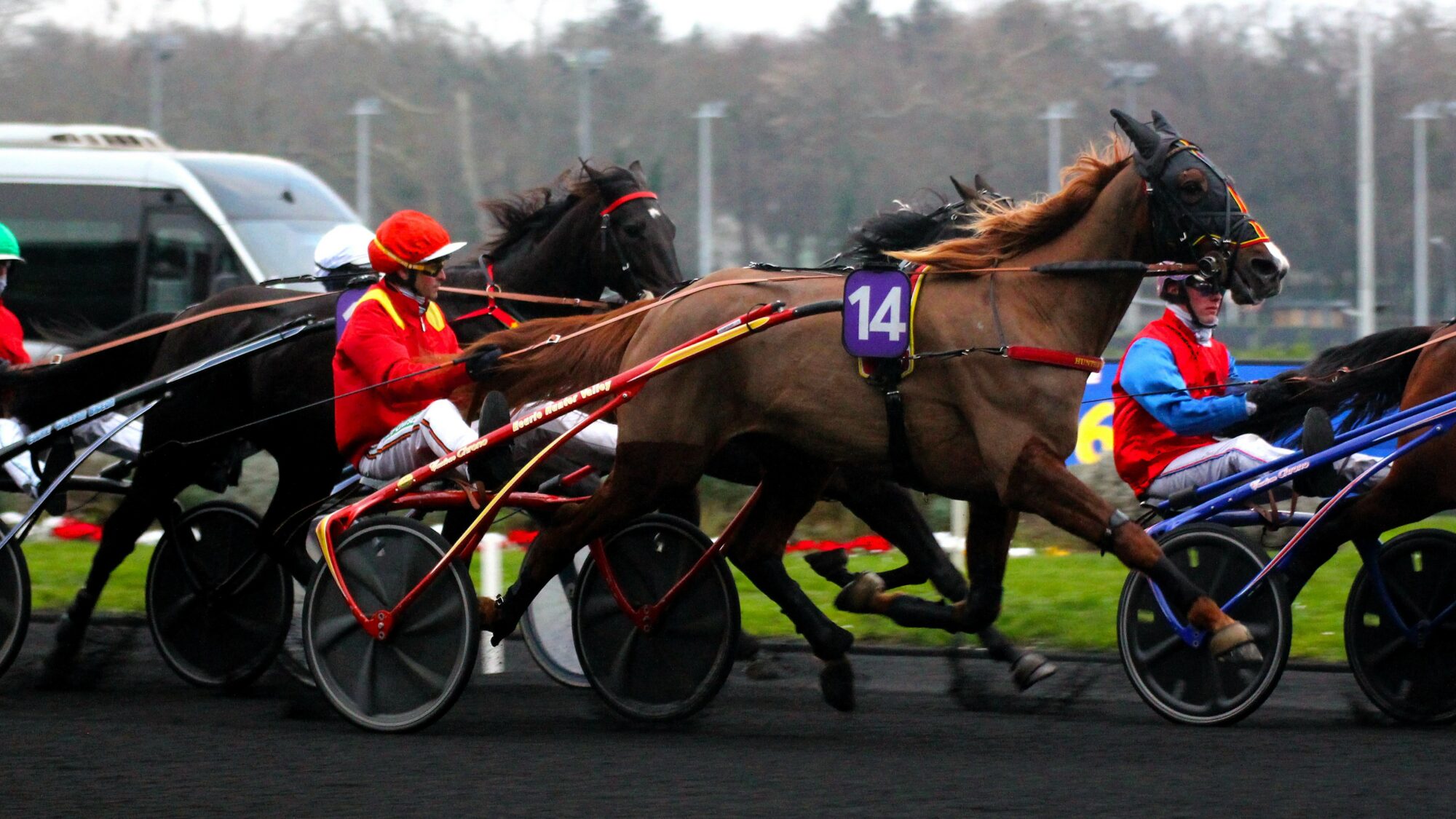 Quinté Du Mardi 11 02 2025 à Vincennes Pronostic Pmu Du Jour