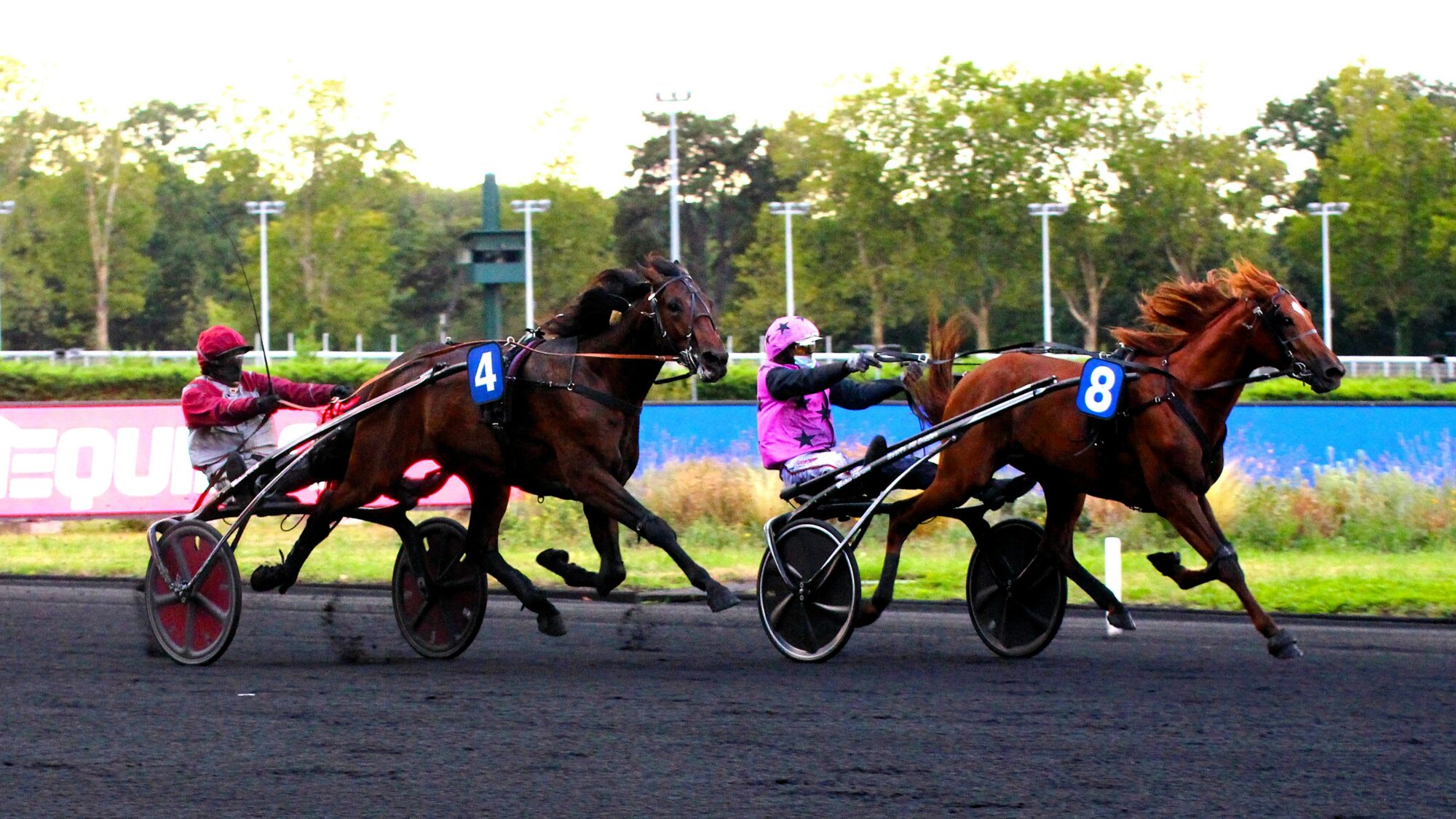 ️ Pronostics du Tiercé Quarté Quinté