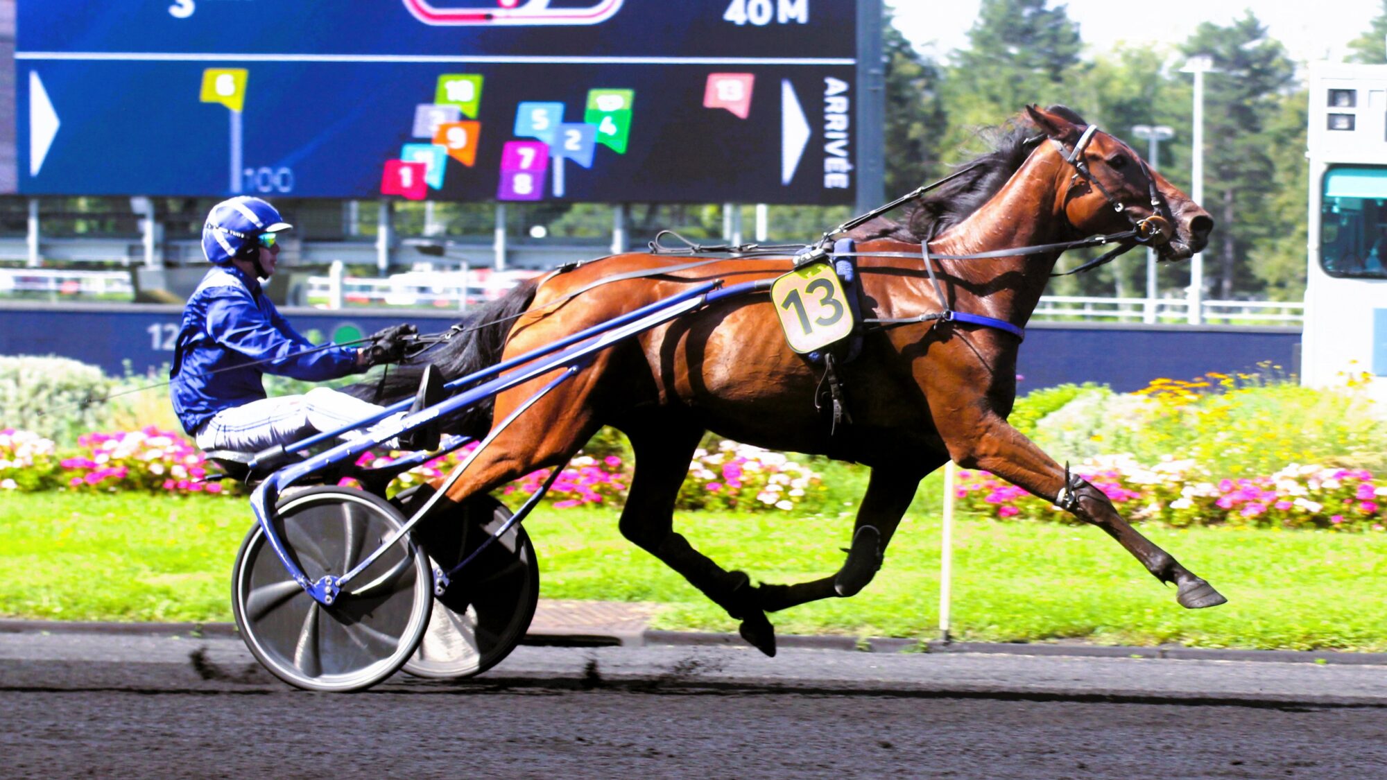 Pronostics De La Presse Pmu Quinté Du Samedi 1er Mars 2025