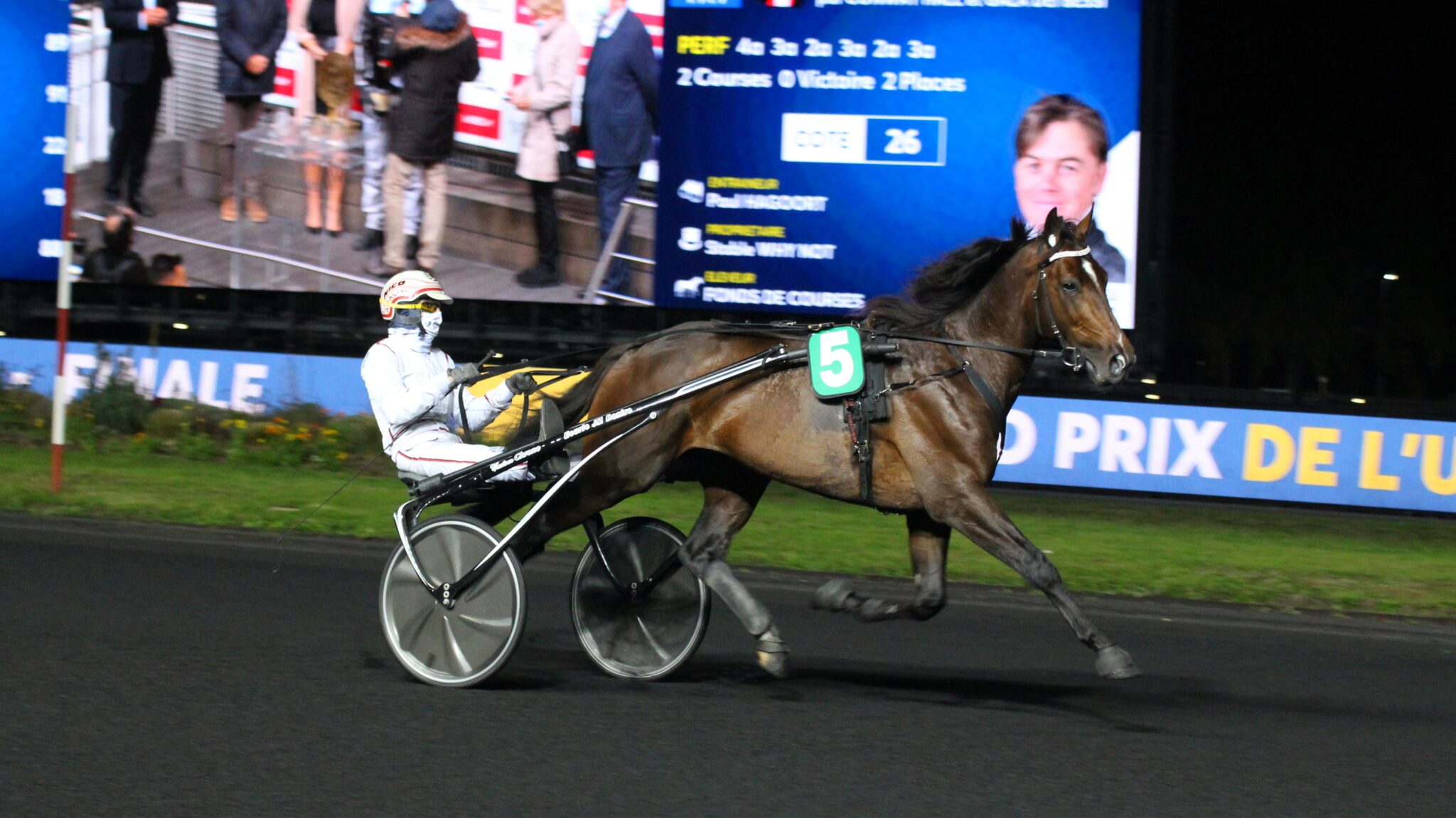 Pronostics de la presse PMU • Quinté du vendredi 21 février 2025