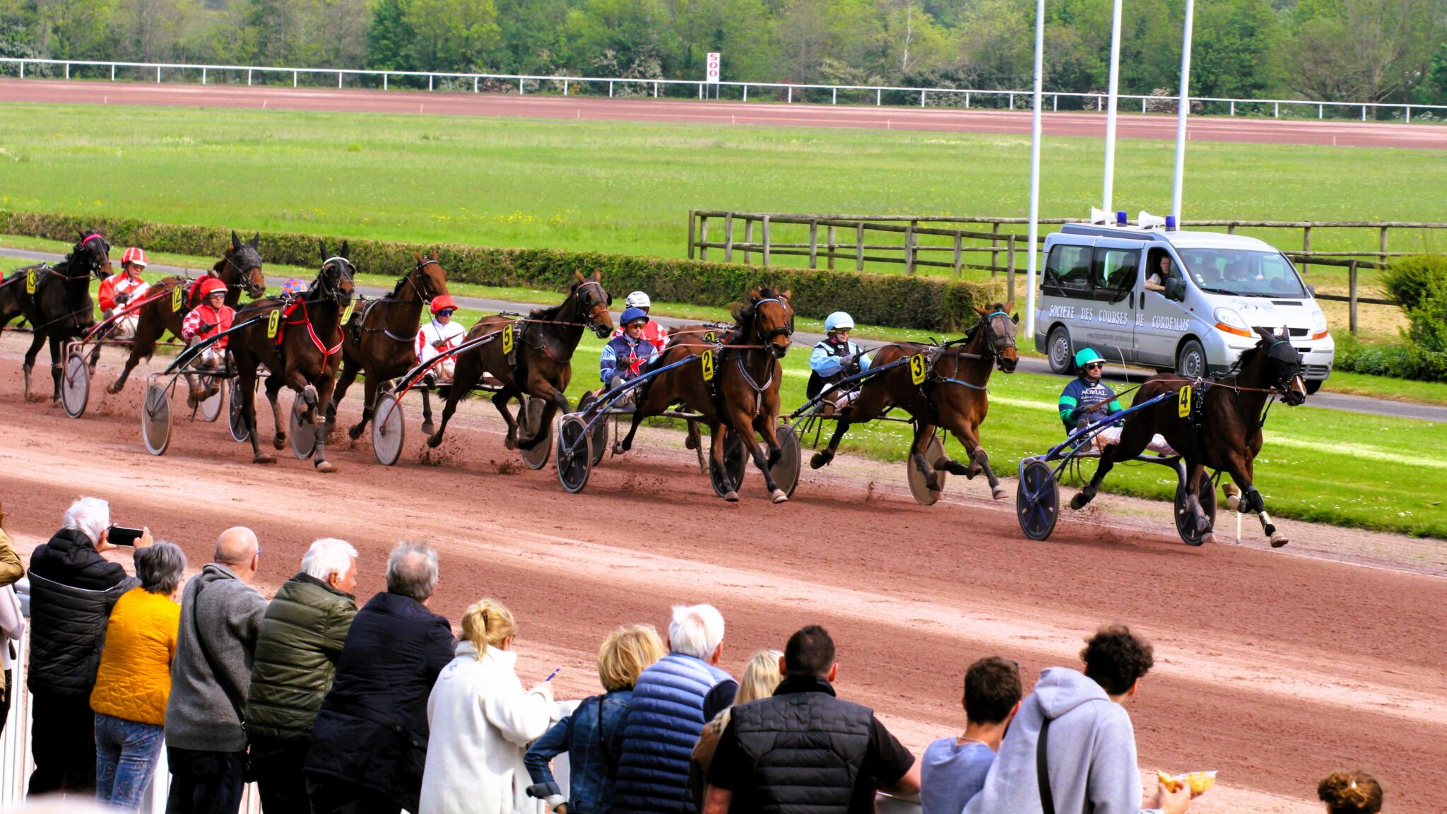 Arrivée du Quinte du mardi 11/02/2025 • Résultat et rapports PMU