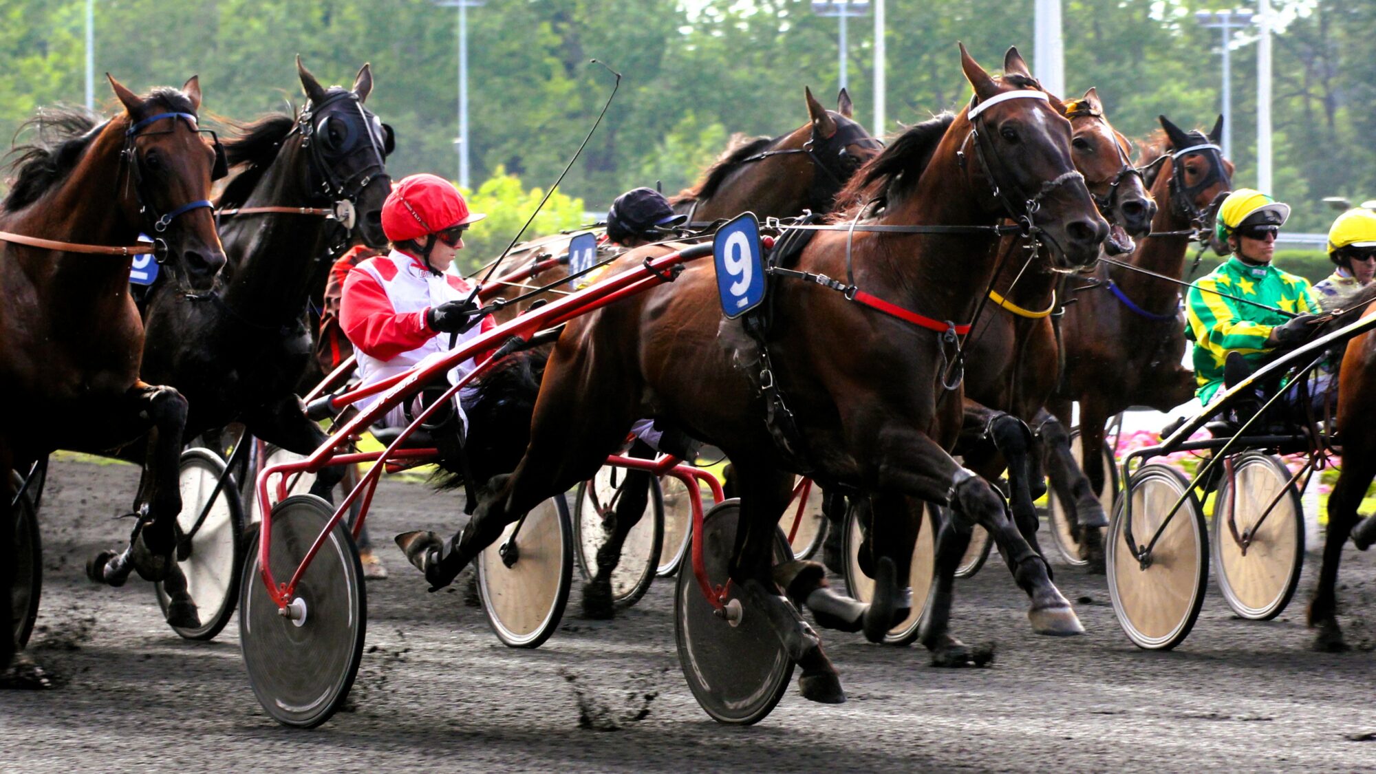 Résultat Pmu Du Jour Quinté Du Jeudi 20 Février 2025