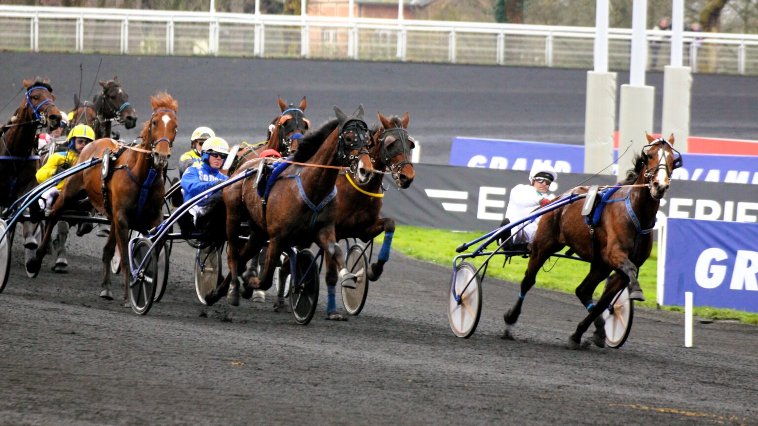Résultat Pmu Du Jour Quinté Du Mercredi 26 Février 2025