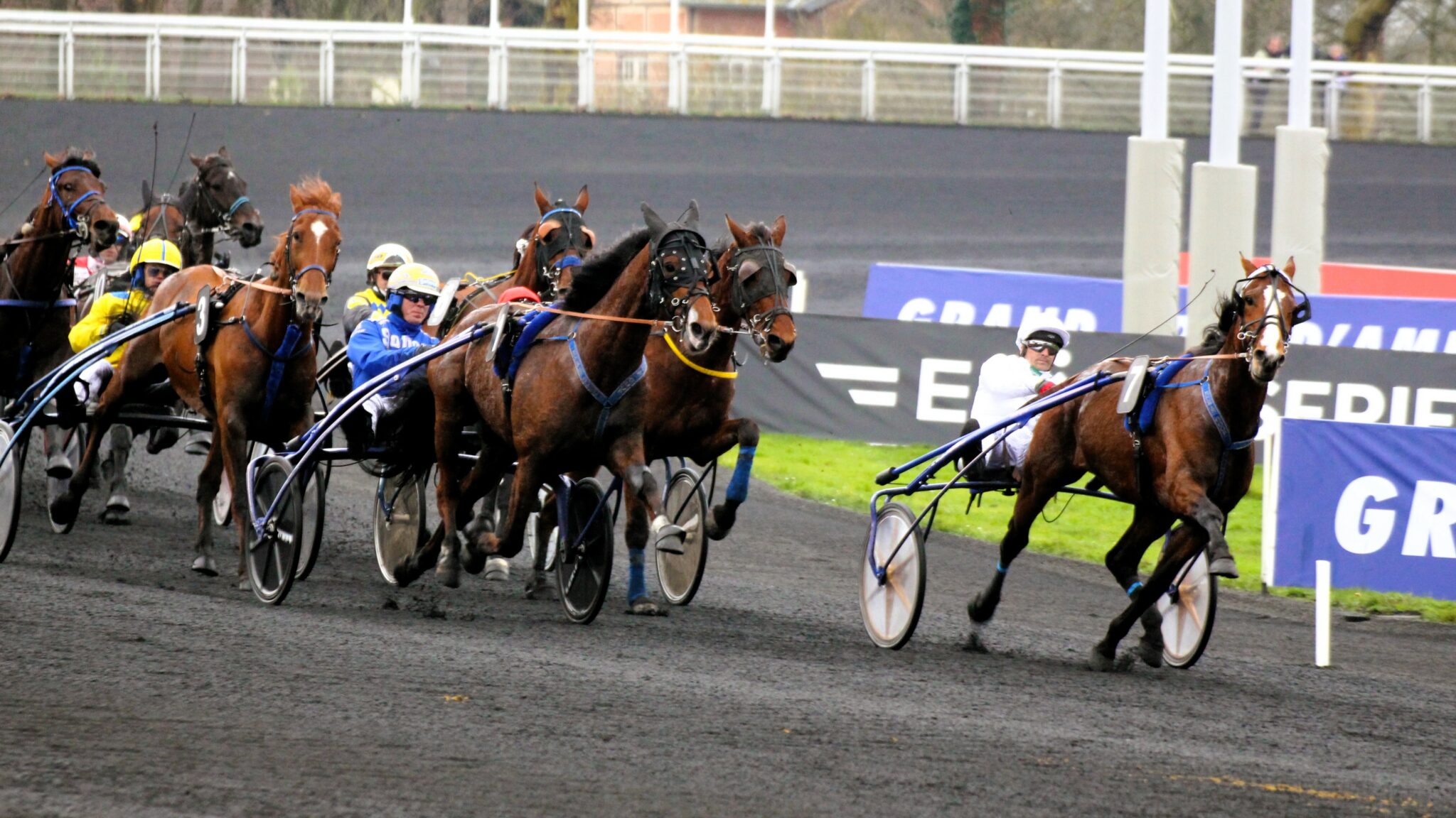 Resultat Pmu Arrivée Du Tiercé Quarté Quinté Du 01 01 2025