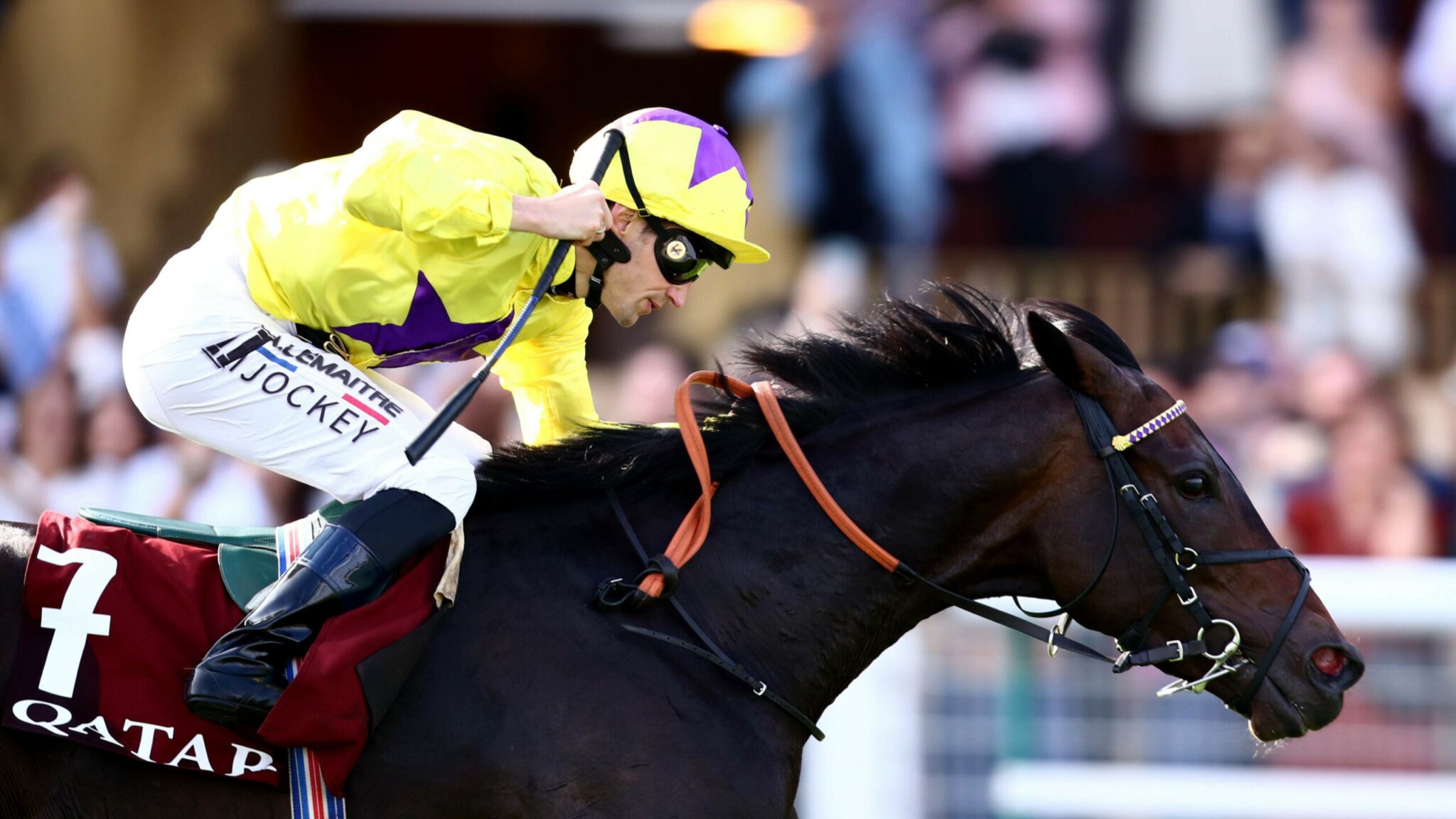 Pronostic Quinté du dimanche 01/12/2024 au PMU • Base • Tocard