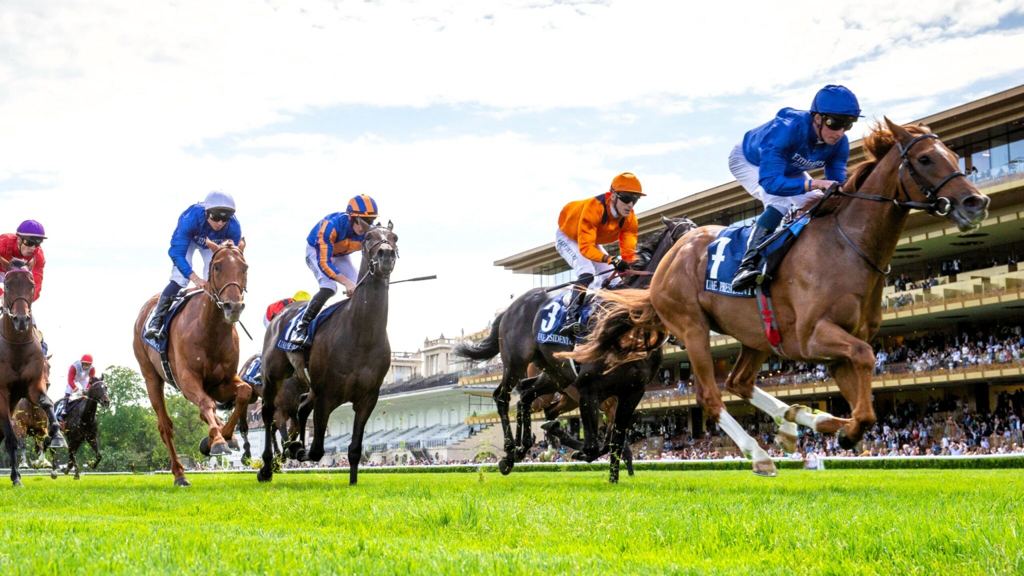 ️ Pronostics du Tiercé Quarté Quinté