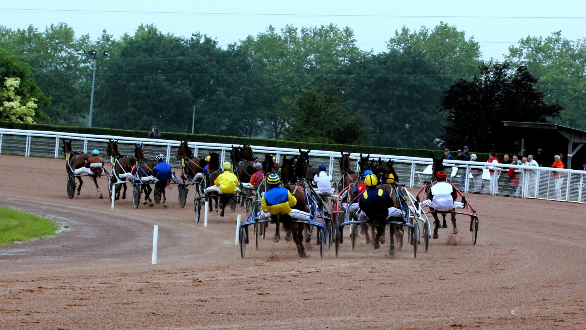 Pronostics Gratuits De La Presse Pmu Pour La Course Du Quinté