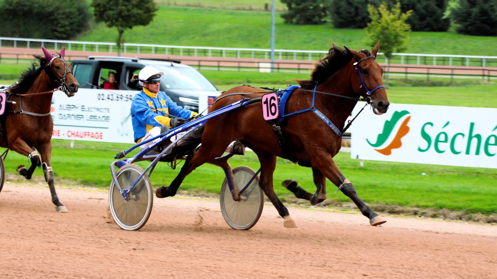 Quinté du mardi 04/02/2025 • Pronostic PMU du jour