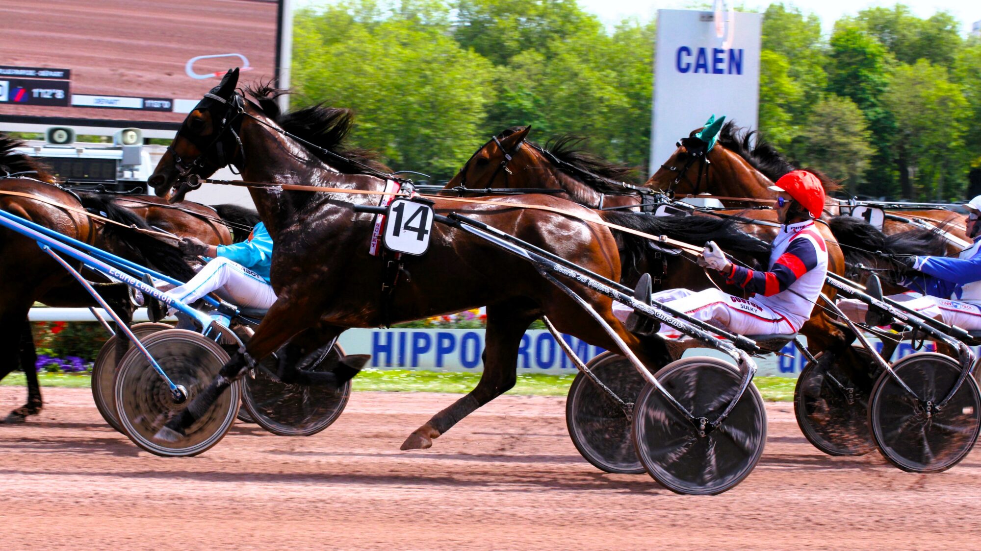 Resultat Pmu Arrivée Du Tiercé Quarté Quinté Du Jeudi 02 012025