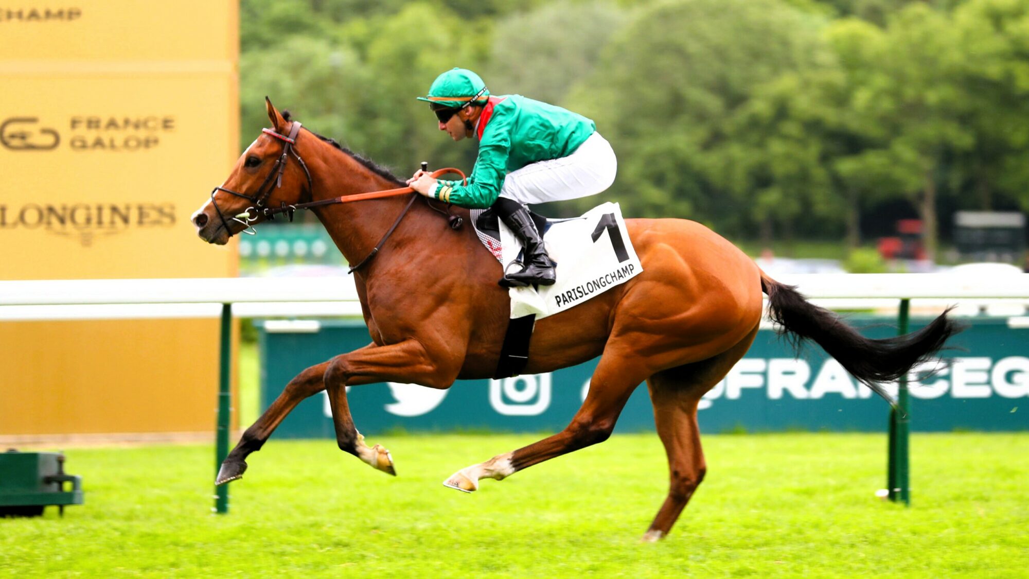 Quinté du 26 avril 2025 au PMU : 4 bases solides pour vos paris