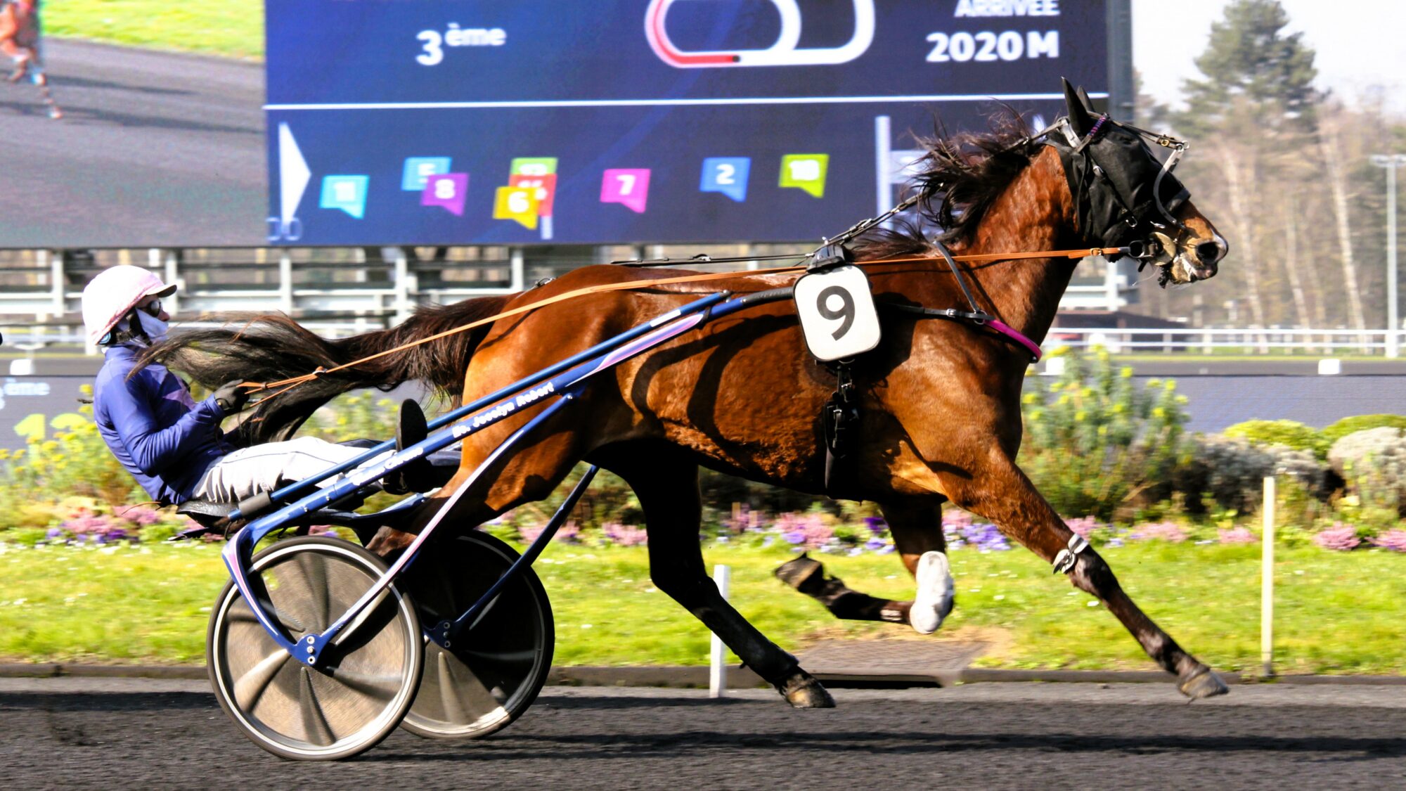 Résultat Pmu Du Jour Arrivée Du Quinté Du Dimanche 23 Mars 2025