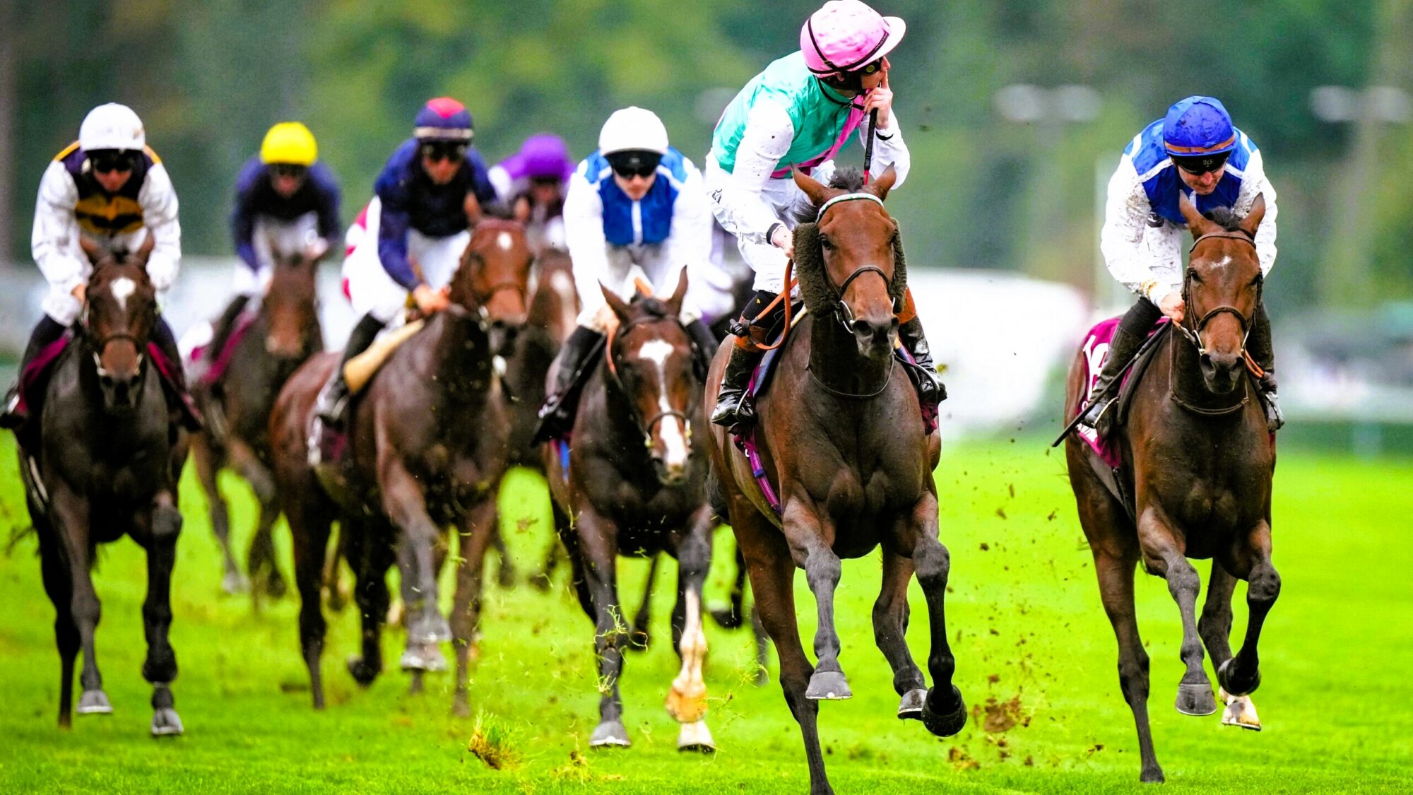 FREQUENCE TURF : Quinté+ • Courses PMU • Pronostics • Résultats