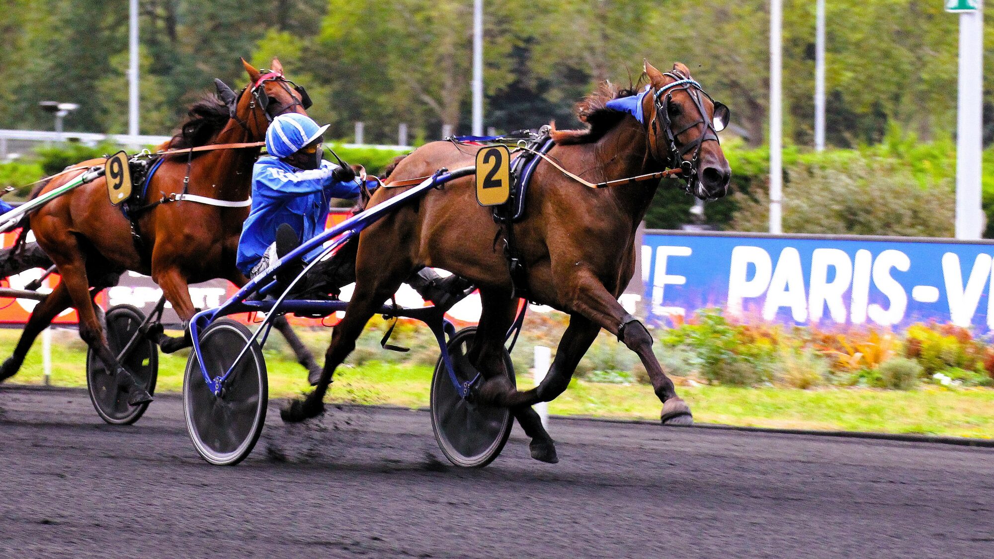 FREQUENCE TURF : Quinté+ • Courses PMU • Pronostics • Résultats